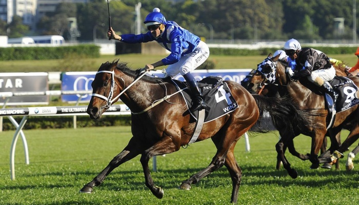 A look into a brand new documentary on champion racehorse Winx - 4BC