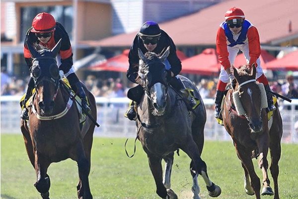 Deagon Racecourse on track for major upgrade - 4BC