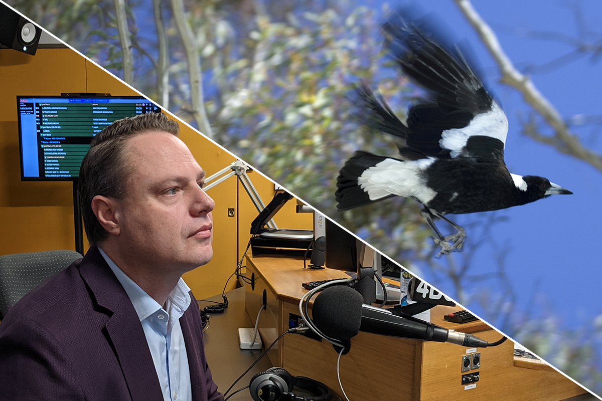 'Decades'-old magpie procedures overhauled in wake of inconceivable tragedy