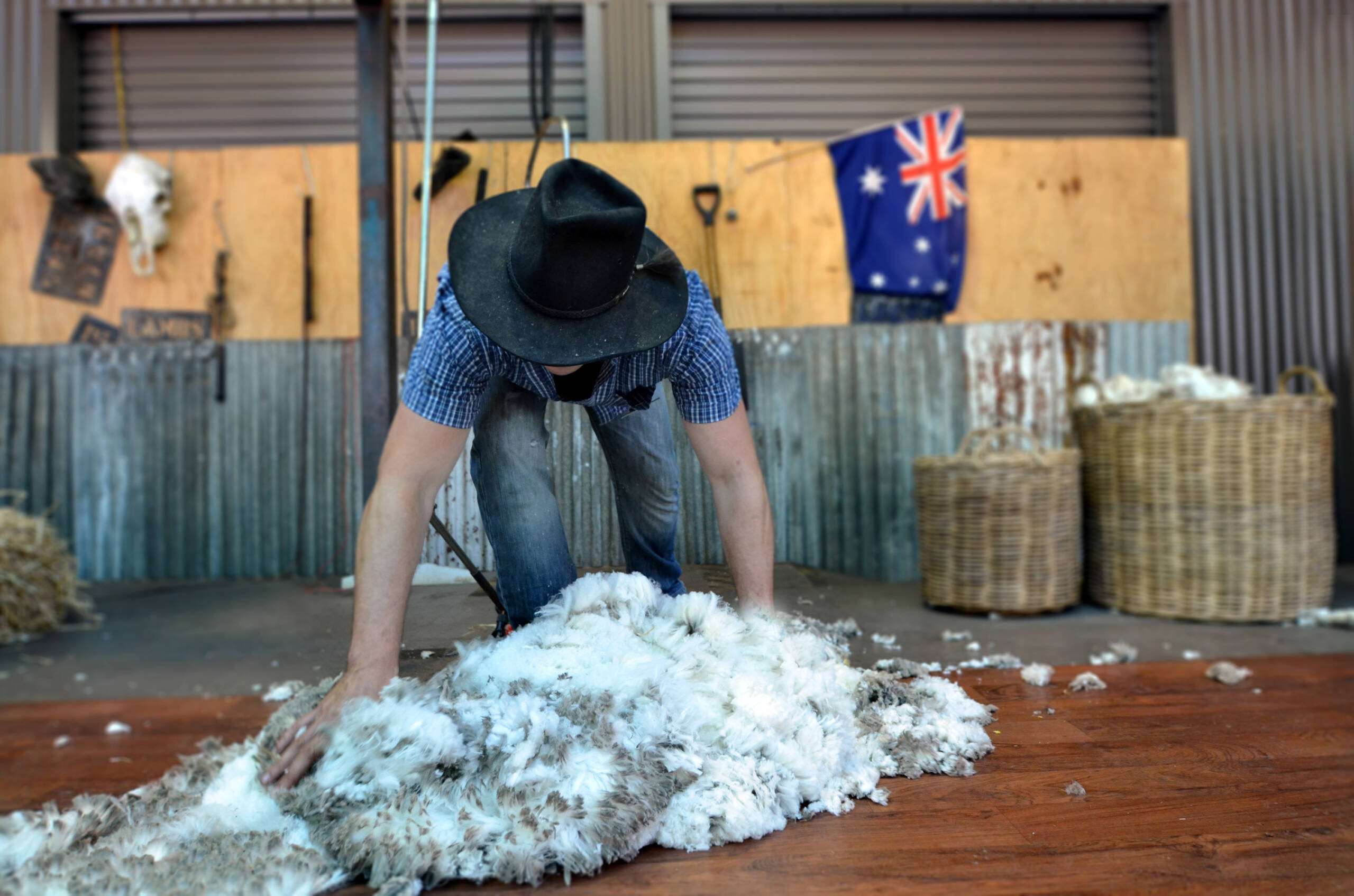 Shear success with new wool group - 4BC