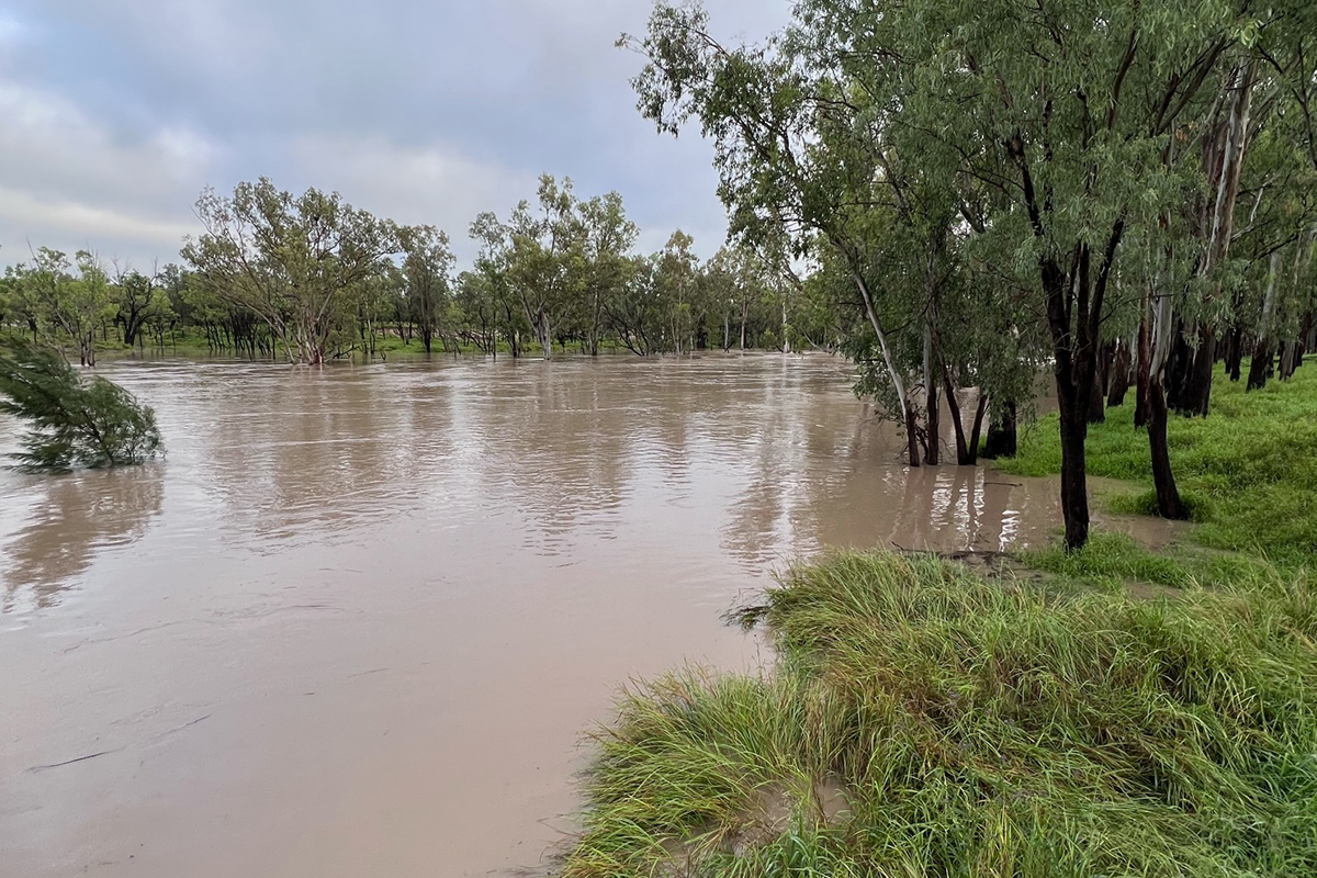 Chinchilla on flood watch with Condamine River 'raging' nearby