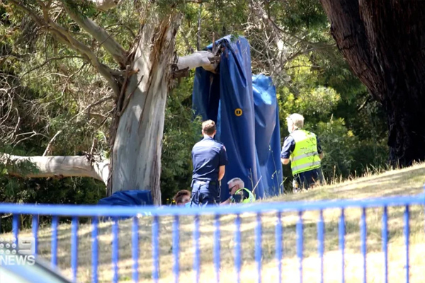 Dealing with mental health after tragic accident in Tasmania - 4BC