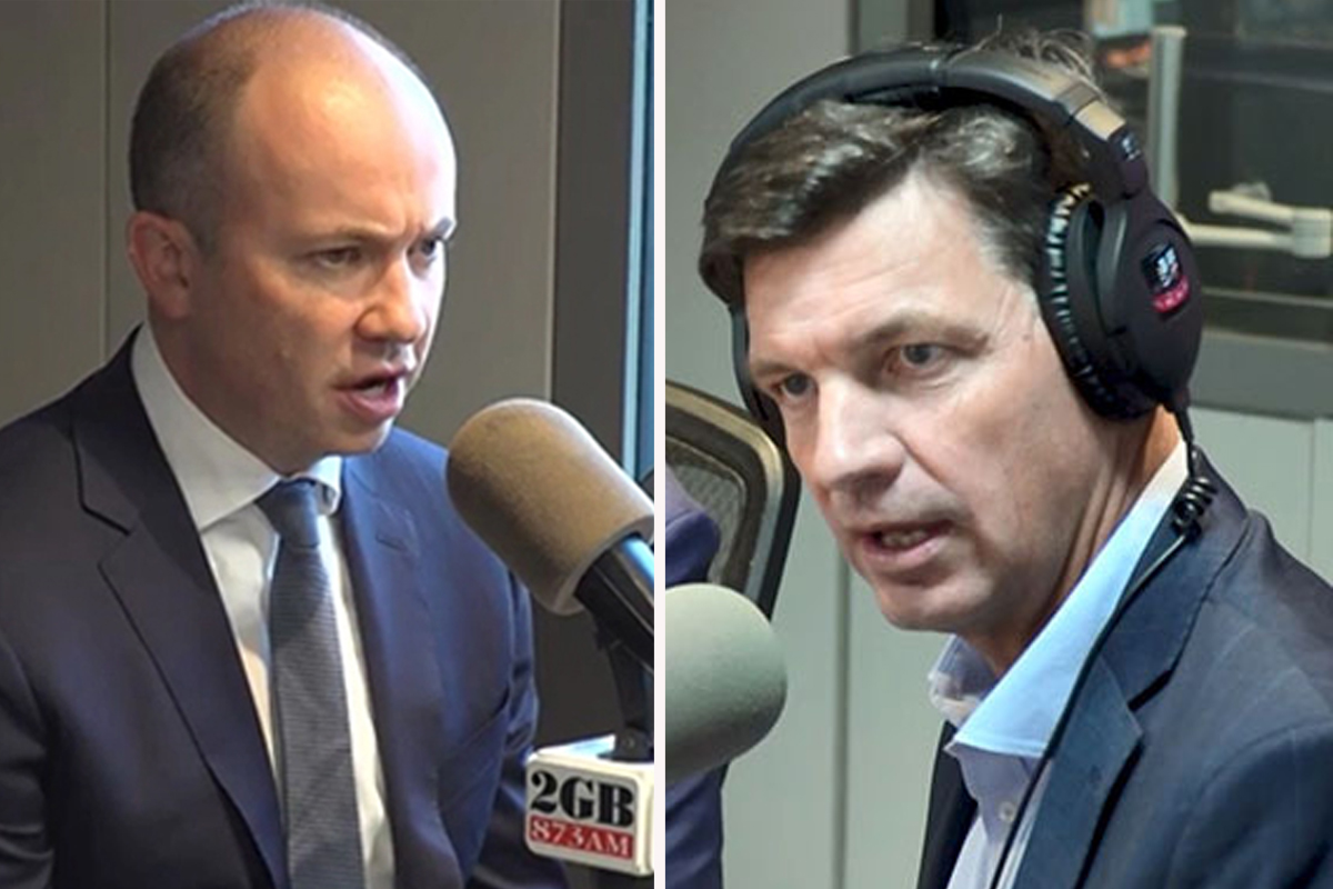 'Act of betrayal': Energy Minister hits out at NSW counterpart over ...