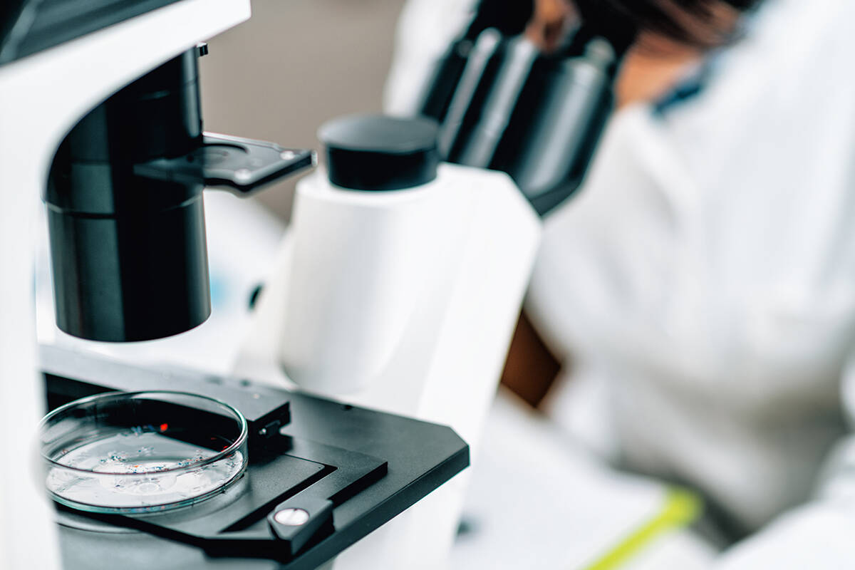 How a custom-built lab will study the impact of unseen plastics on ...