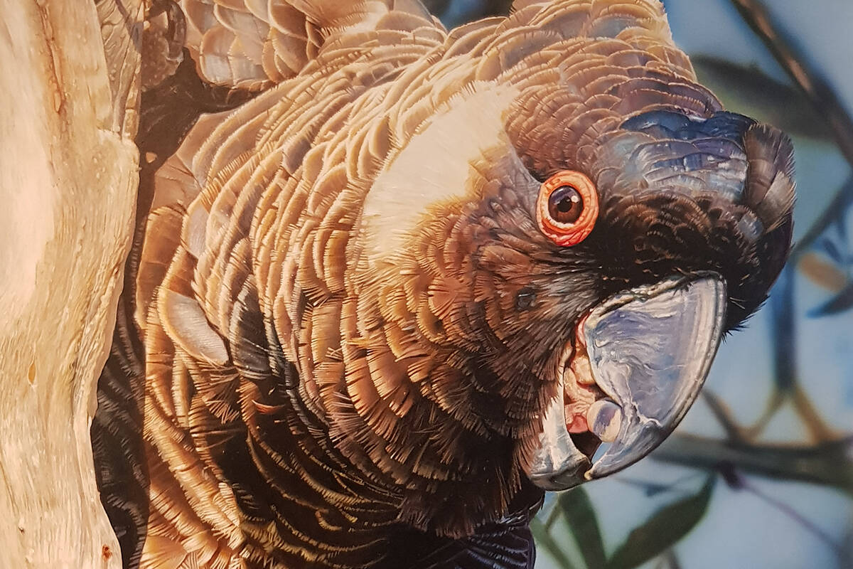 Garry Fleming's latest major work