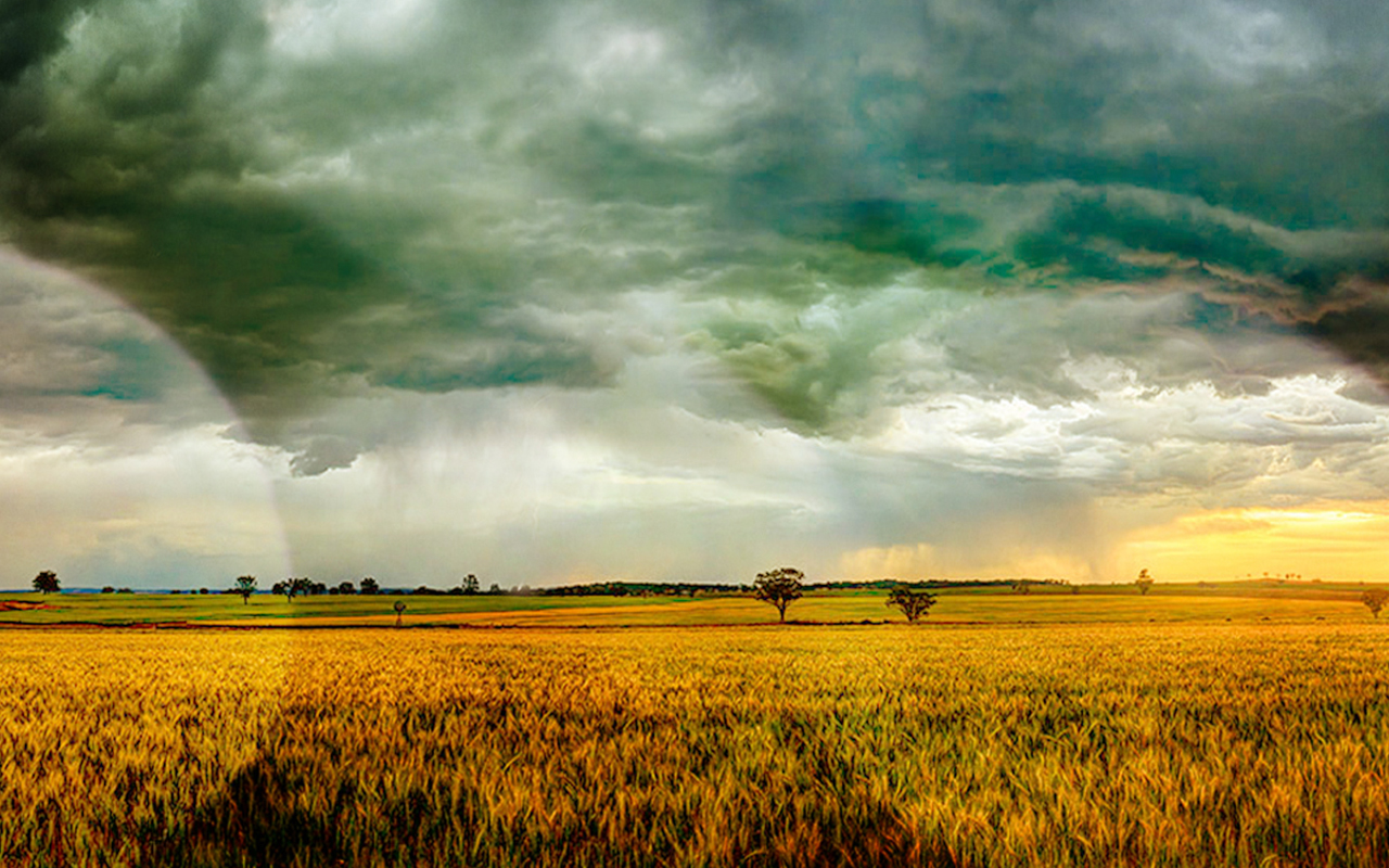 Australia's Largest Goat Research Project - 4BC