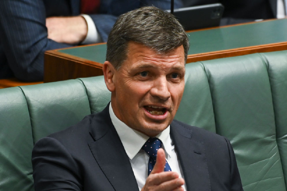 'Goosed himself!': Angus Taylor's repeated slip up during speech
