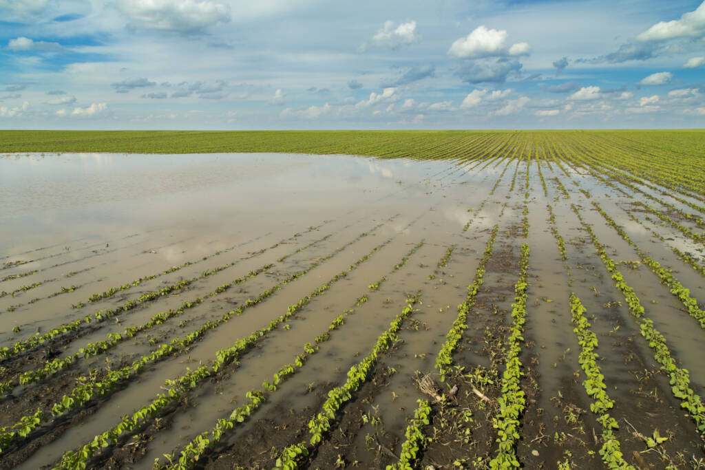 More devastation on the way for flood-hit farmers - 4BC