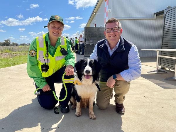 Dogs helping to rescue missing people - 4BC
