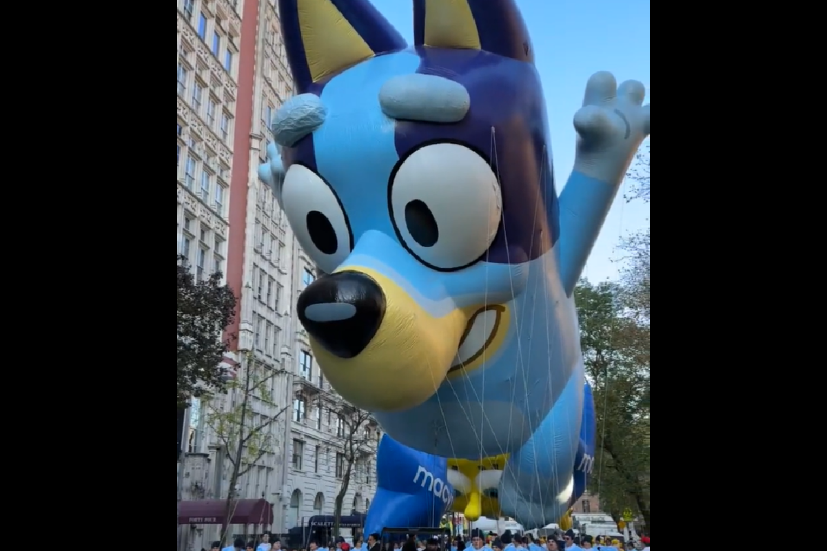 Bluey's New York adventure: Aussie favourite stars in Thanksgiving Day ...