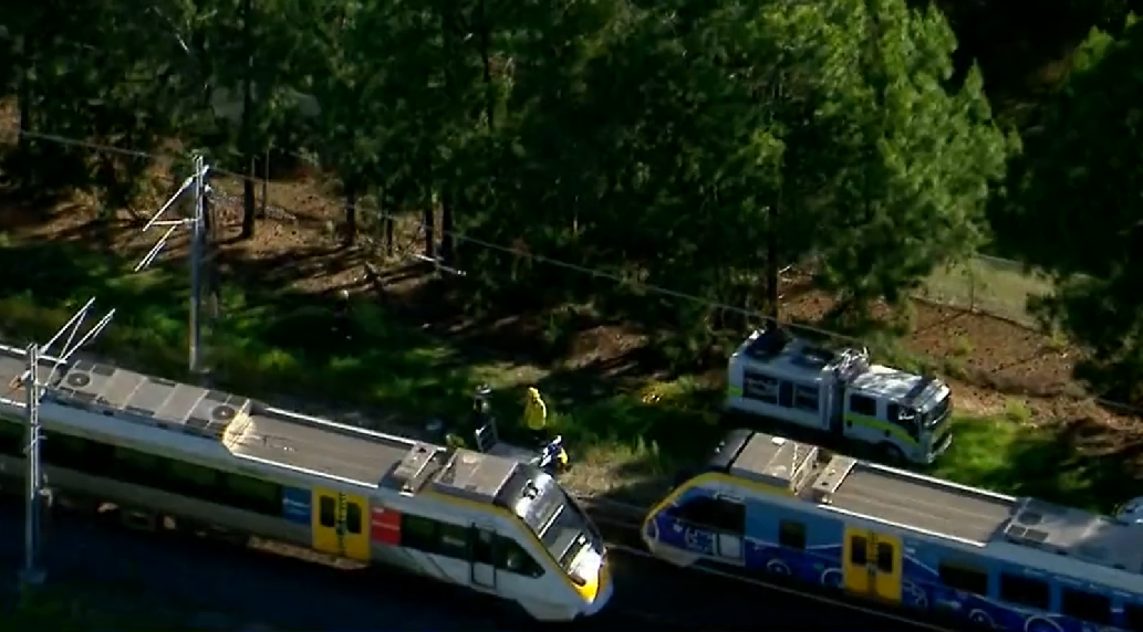 Fallen tree strands passengers on Gold Coast-bound train