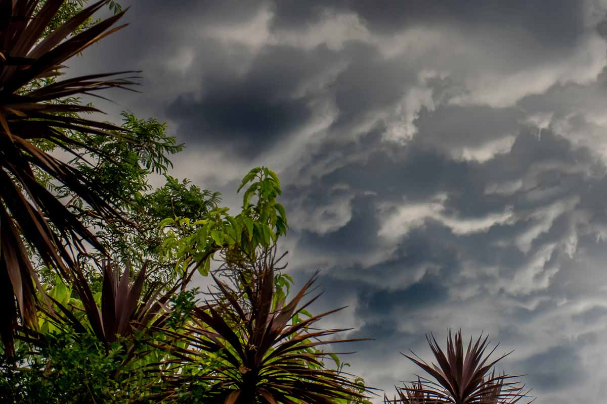 Why a tropical cyclone forming off the east coast won't cause Qld trouble