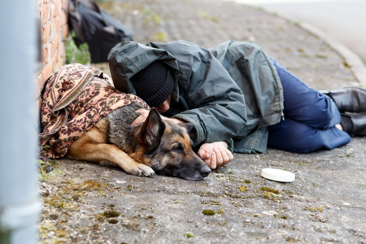 ‘Me, my dog, and nowhere to go’: What homelessness is really like