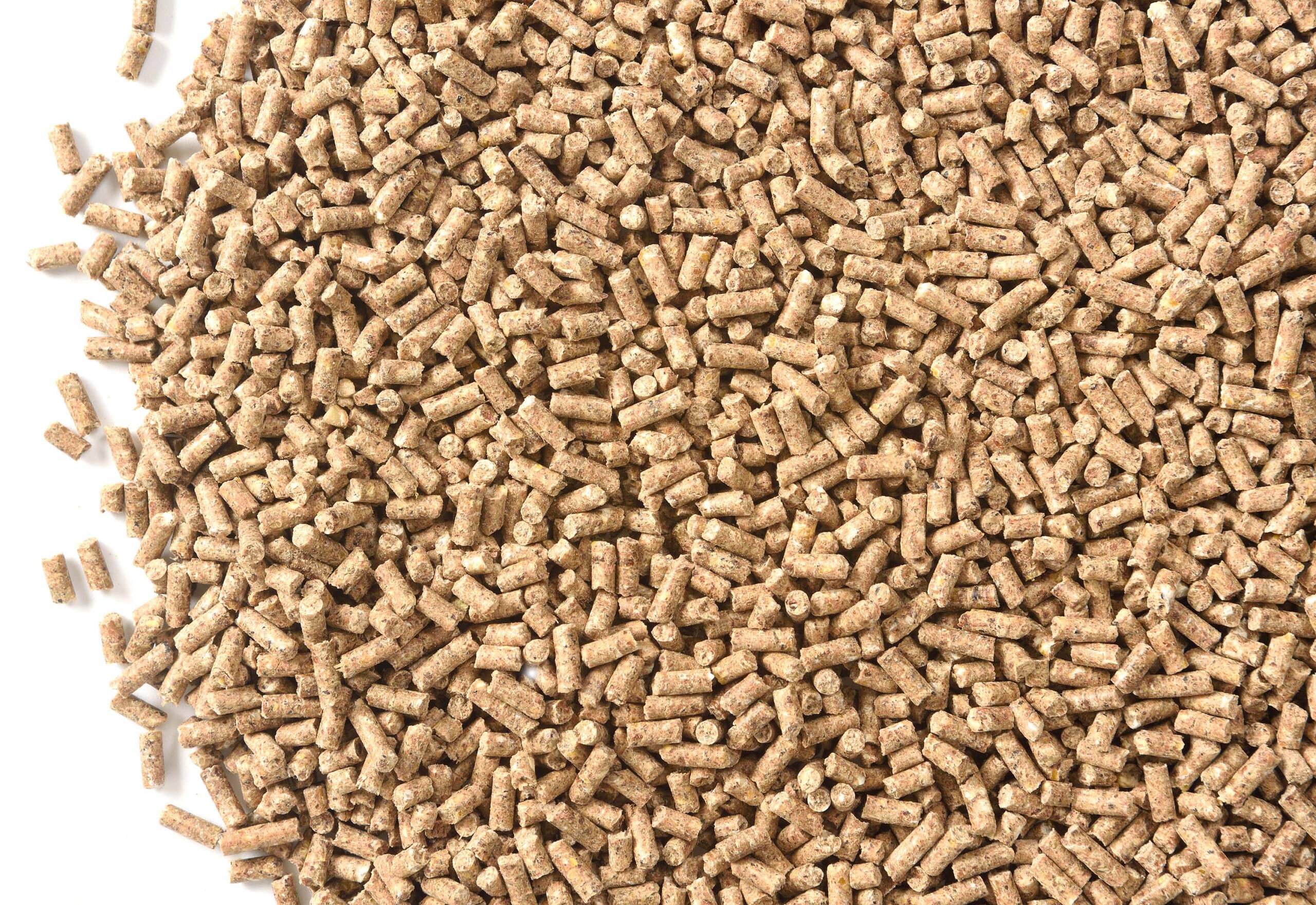 Turning food waste into animal feed - 4BC