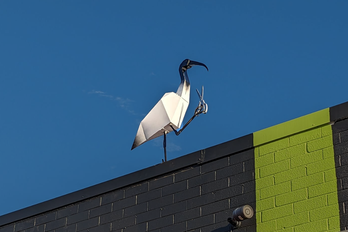 Have you seen these 'Bin Chicken' statues around Brisbane? - 4BC