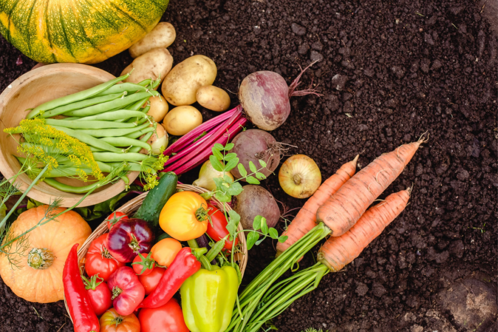What is the Lockyer Valley Foods Co-op? - 4BC