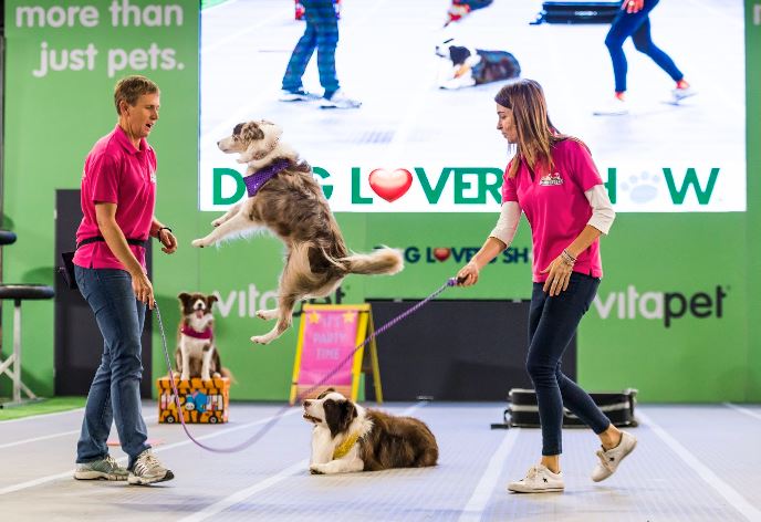 Sydney’s Pet Festival Returns: Bigger, Better & Pawsitively Unmissable ...