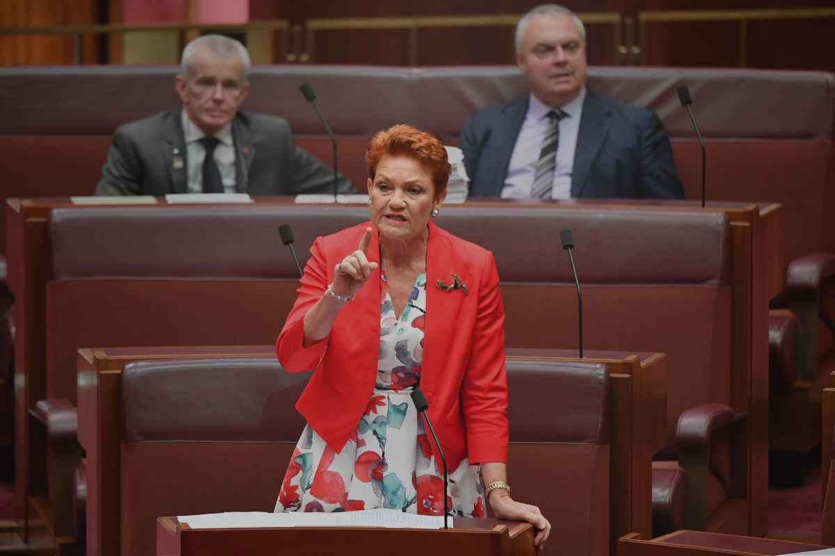 'I warned Parliament': Pauline Hanson's sensational claim about Labor's ...