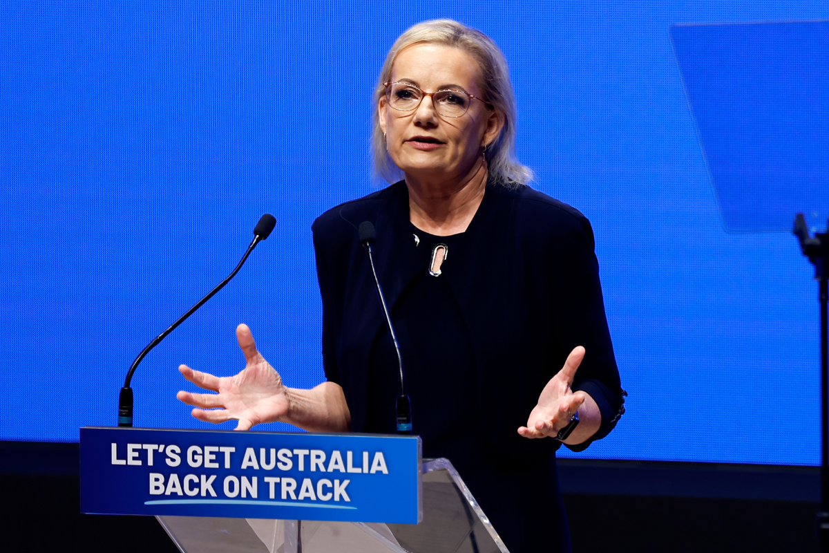 'There's a clear choice': Sussan Ley declares Coalition are 'underdogs ...