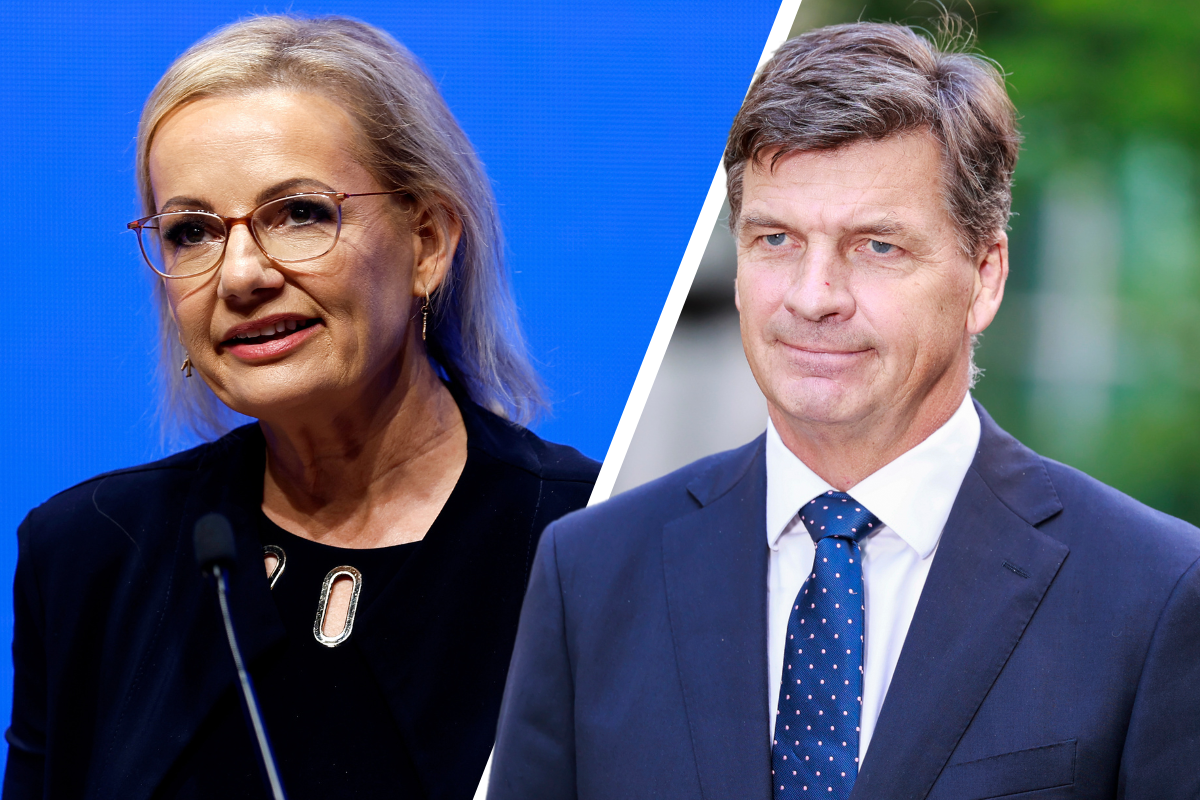 The one glaring issue being overlooked in the Coalition leadership race ...